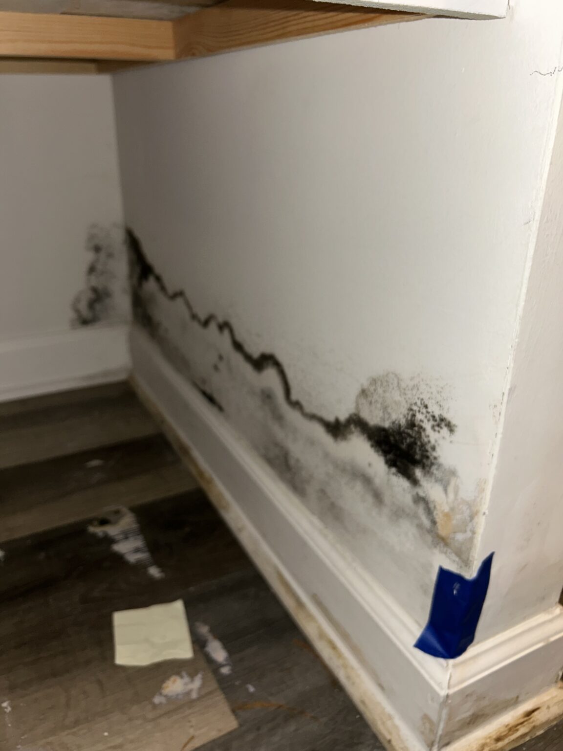 How to Detect Hidden Mold in Your Home | Restore Pros